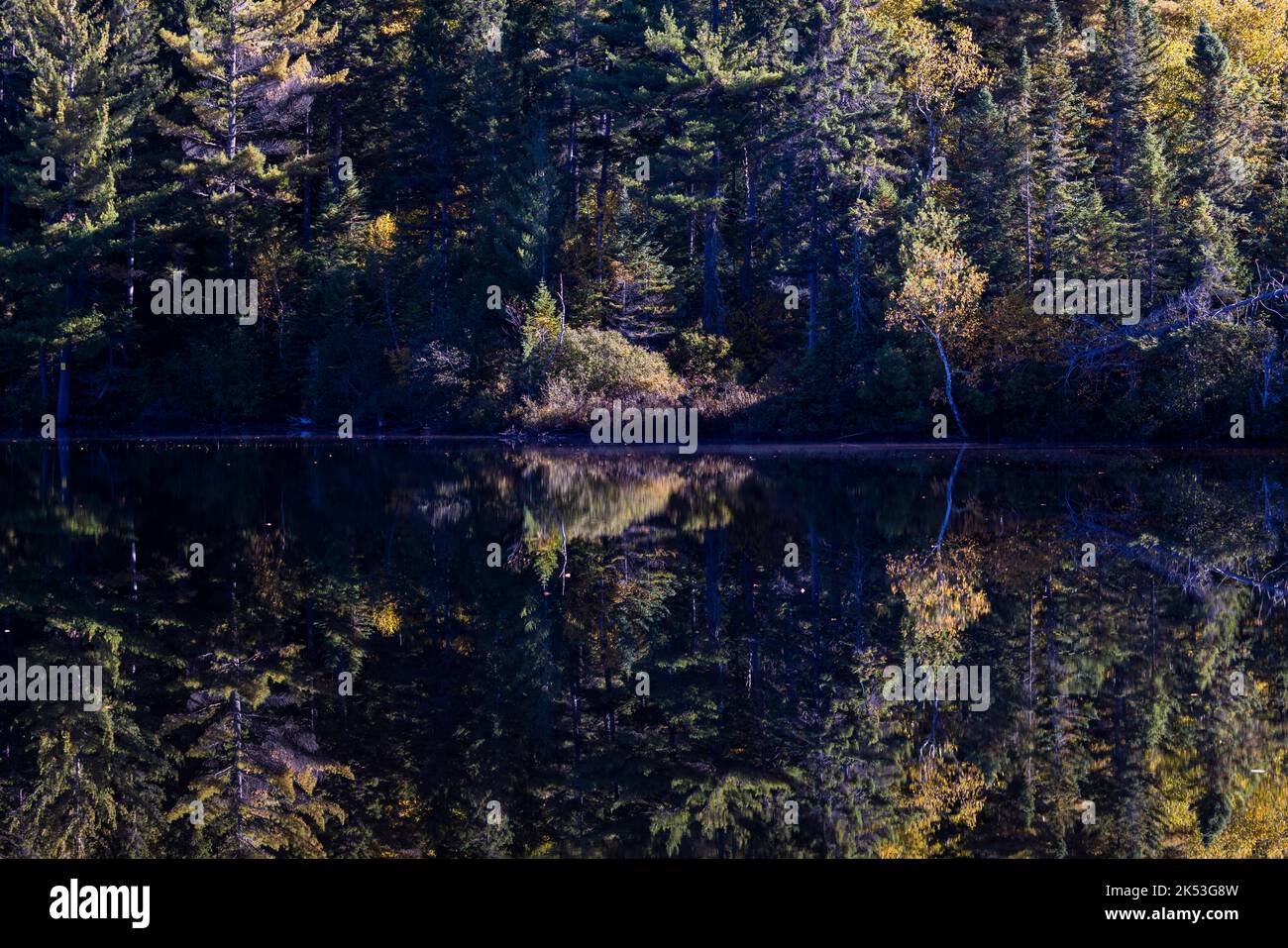 Spectacular autumn, Mont Tremblant, Quebec, Canada Stock Photo - Alamy