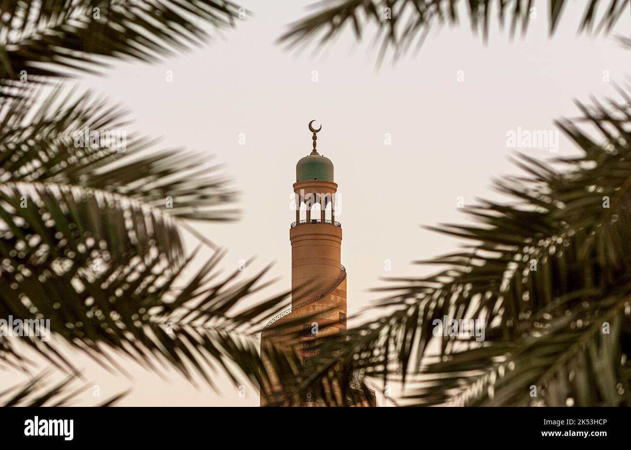 Kassem Darwish Fakhroo Islamic Centre Mosque through palm trees on the ...