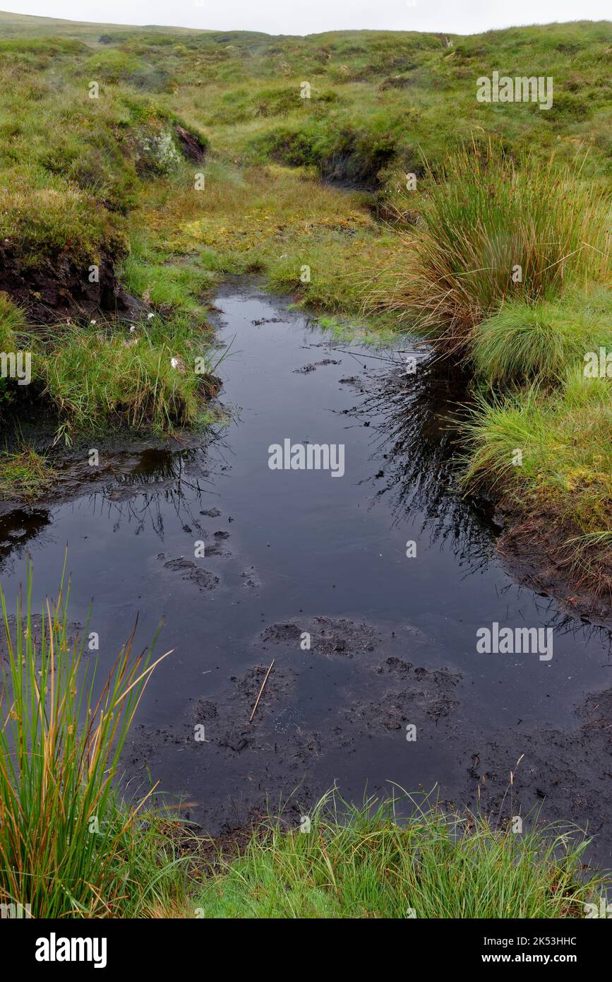 Source of the River Severn on Plynlimon, Powys, Central Wales, UK Stock ...