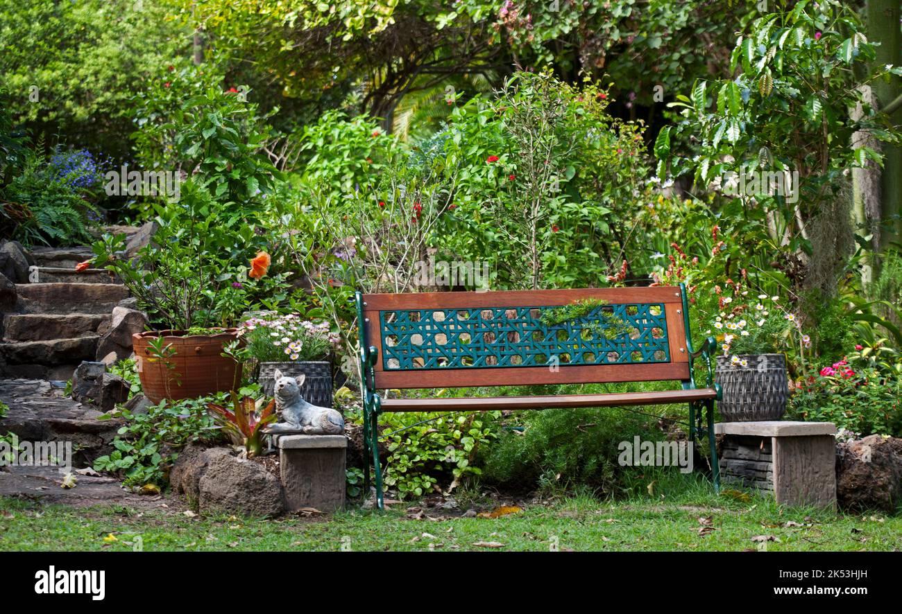 Decorative wrought iron and timber bench surrounded by lush garden with ...