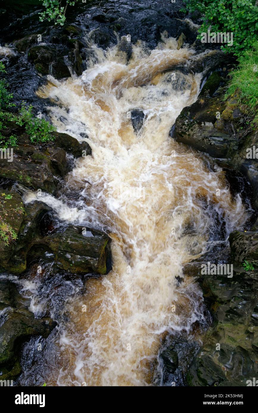 Irfon forest hi-res stock photography and images - Alamy