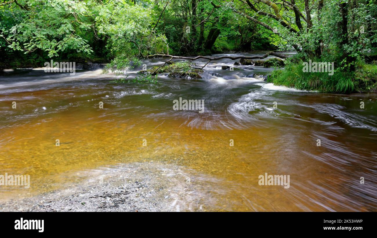 Irfon forest hi-res stock photography and images - Alamy