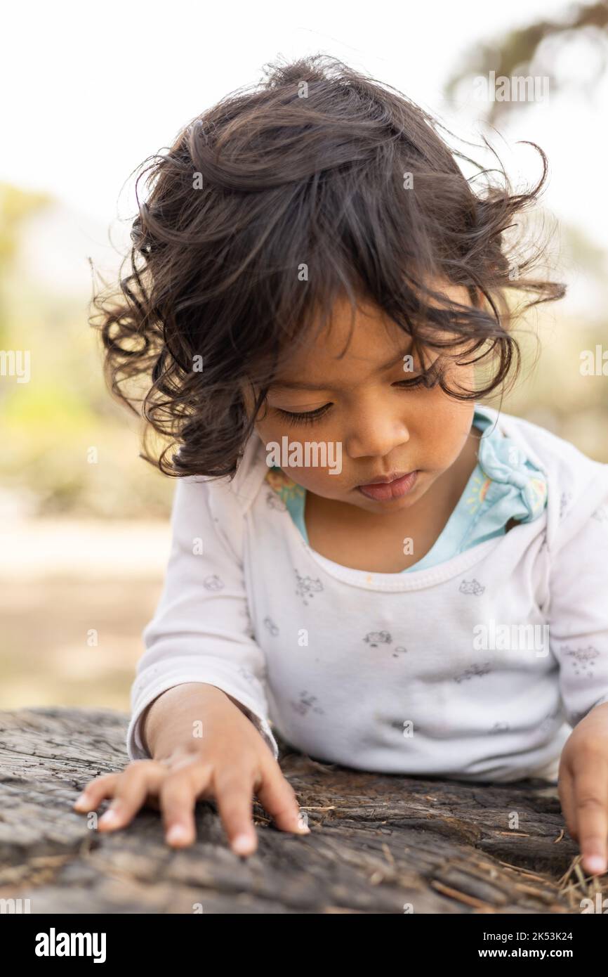 little girl with curly hair distracted playing a log, childhood games ...