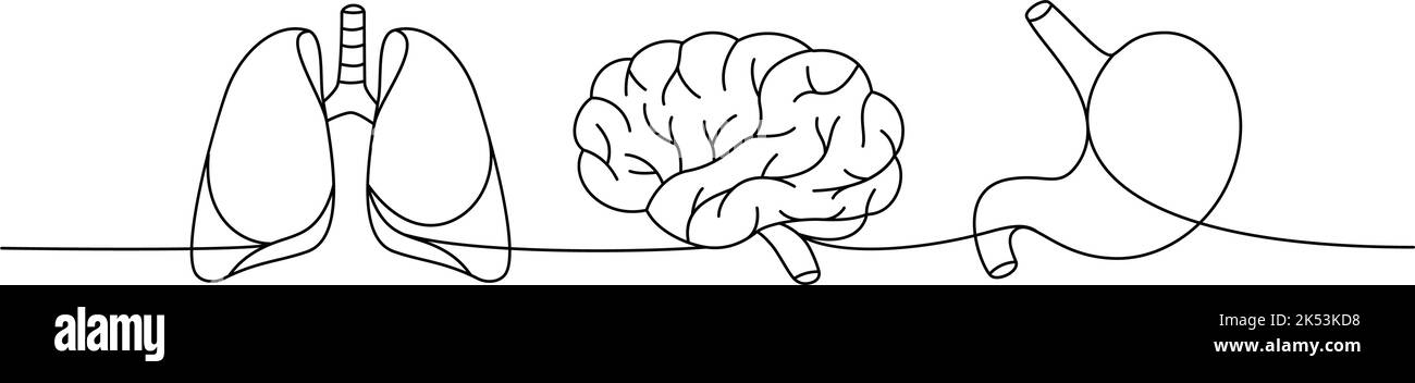 Set of human organs one line continuous drawing. Lungs, brain, stomach ...