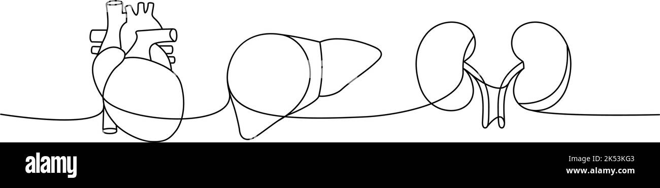 Human kidney cartoon Black and White Stock Photos & Images - Alamy