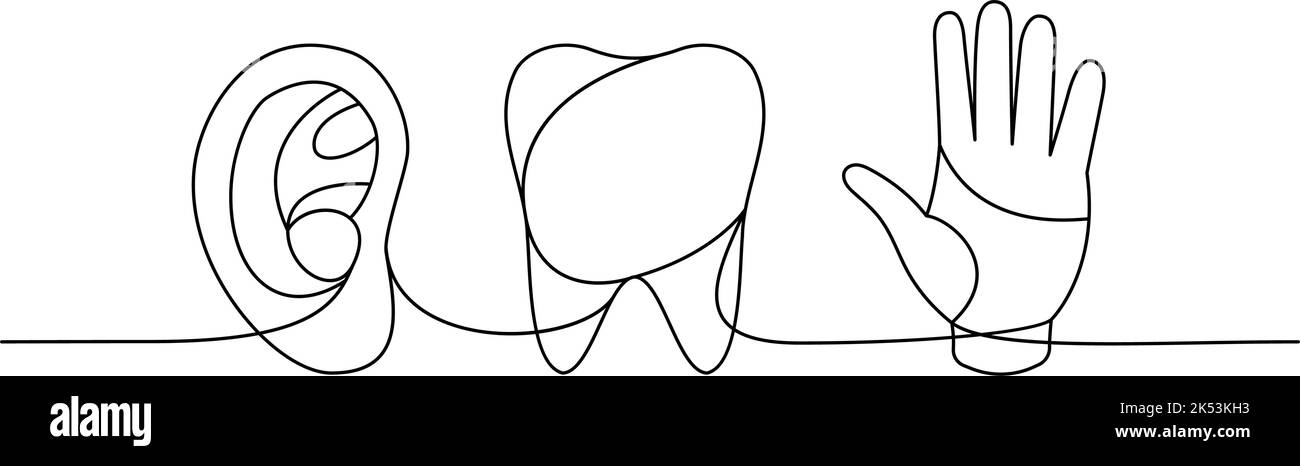 Set of human organs one line continuous drawing. Tooth, ear, hand ...
