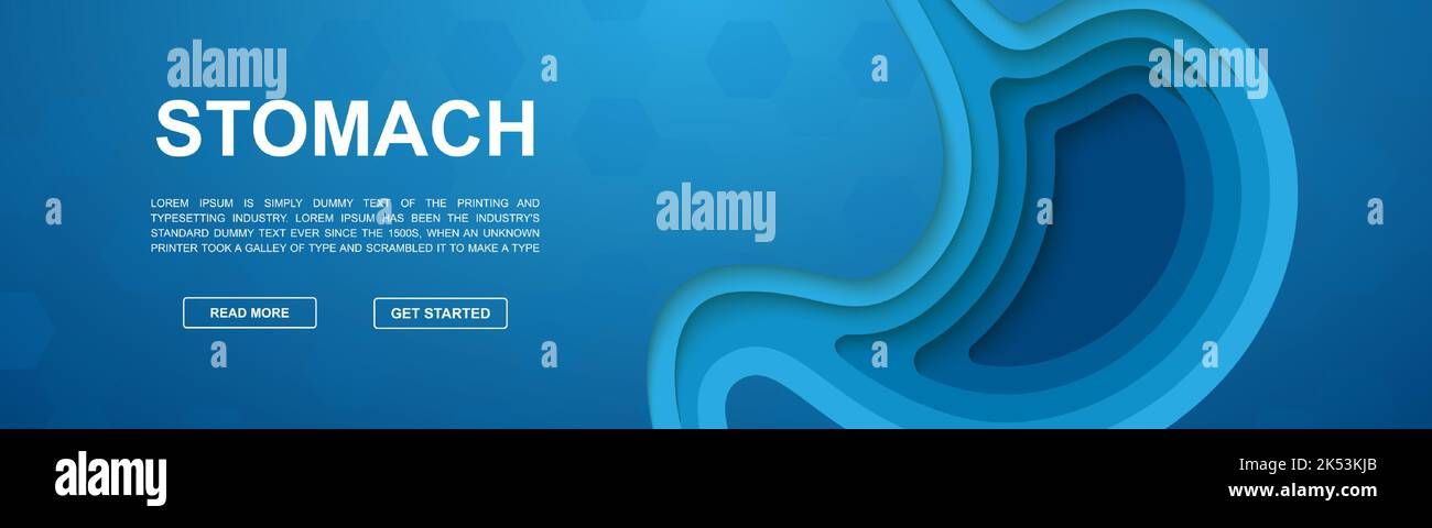 Stomach 3d paper cut symbol for head promotion banner. Digestive system ...