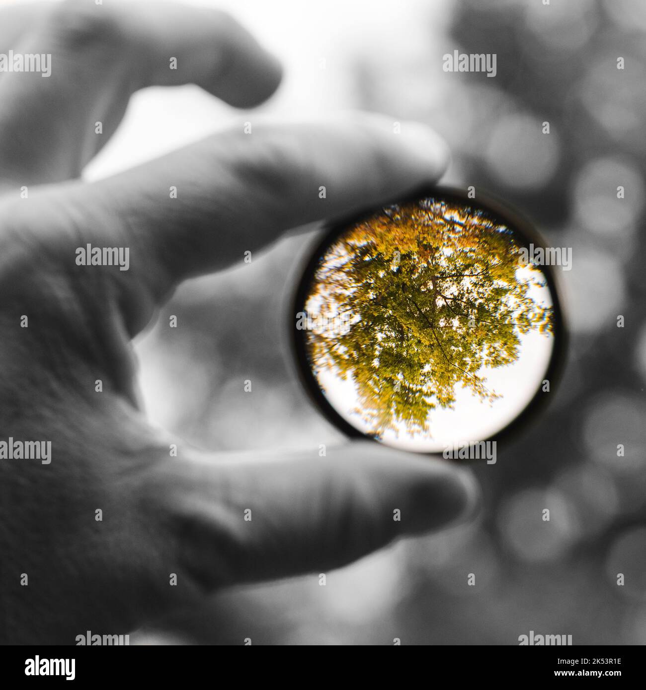 Now I know in part; then I shall know fully, even as I have been fully ...