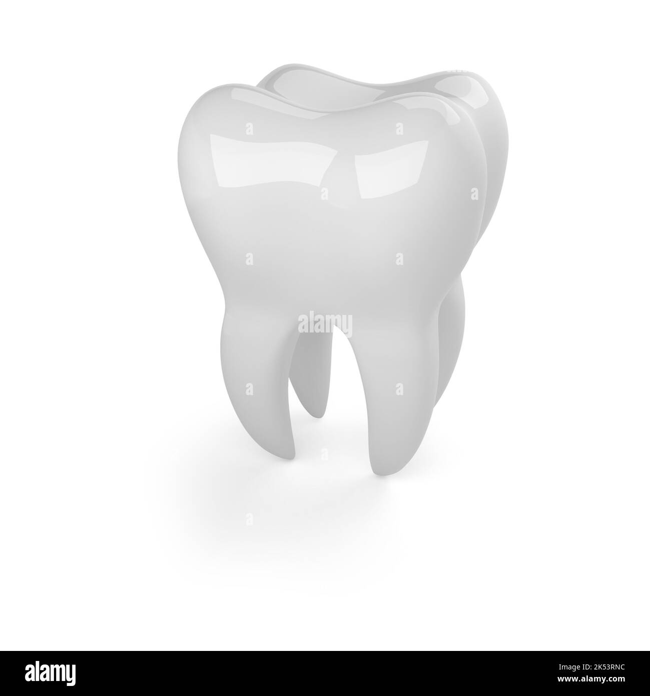 Dental model of a tooth (molar) isolated on a white background. 3D ...