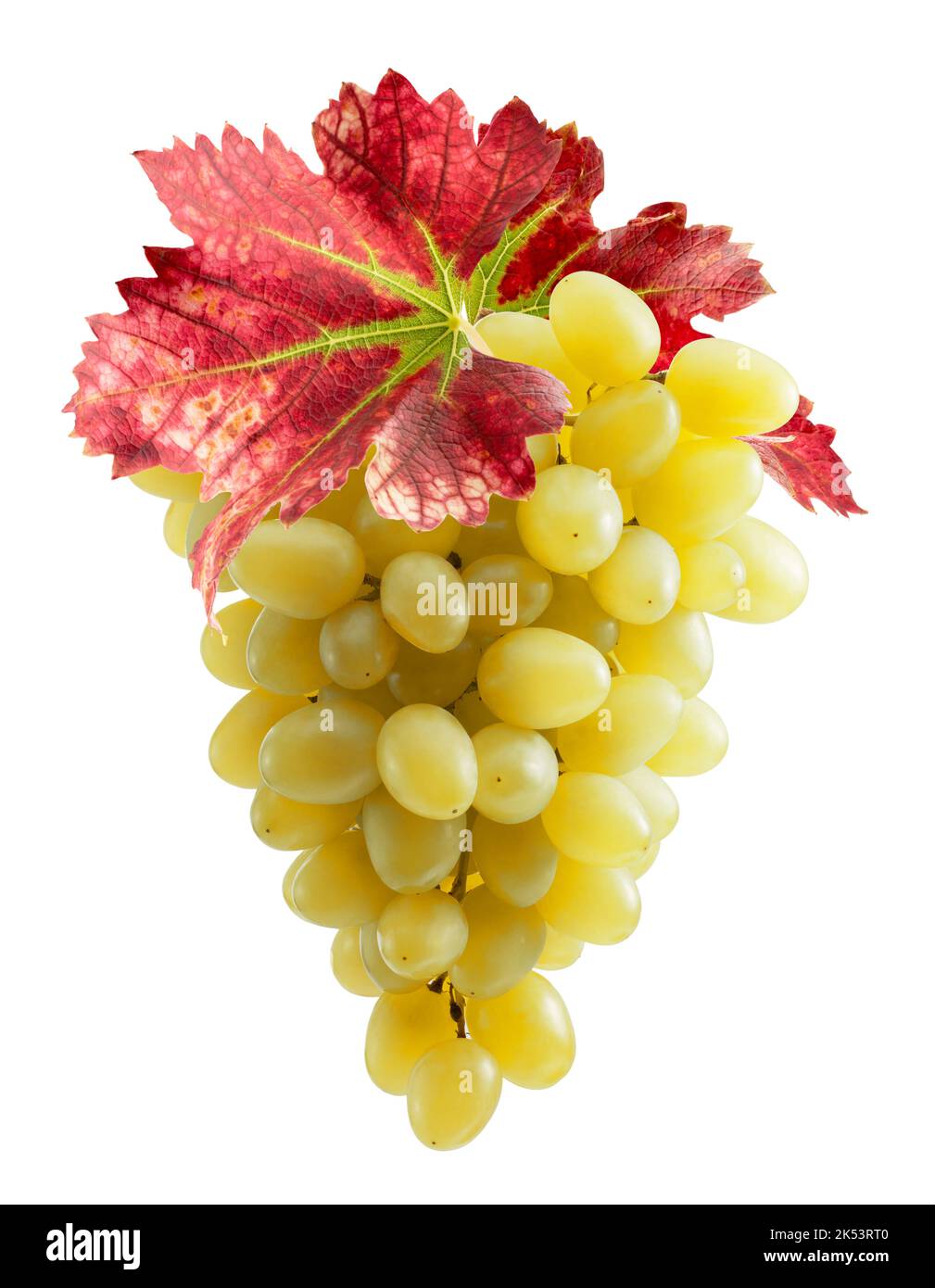 Yellow grapes hi-res stock photography and images - Alamy