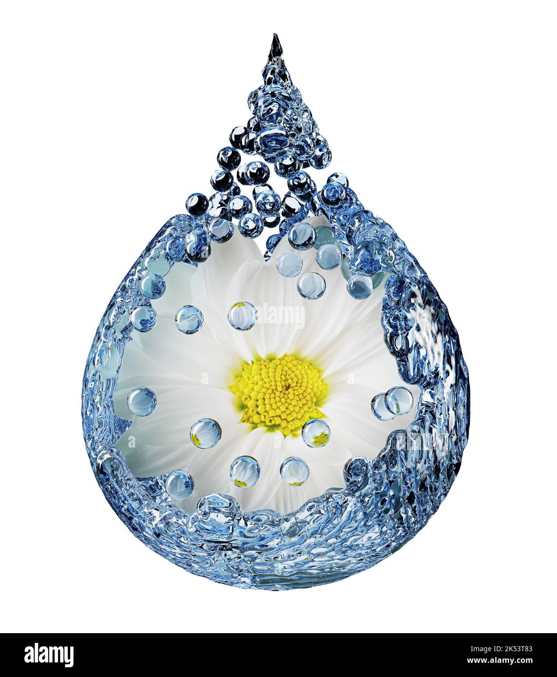 chamomile in water splashing in the shape of drop with clipping path on ...