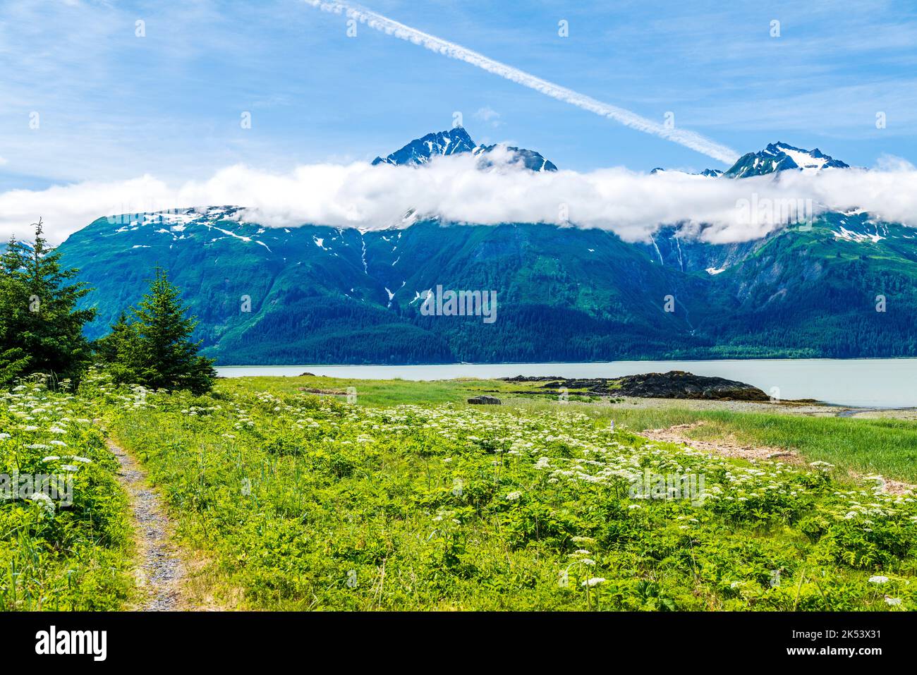 View of Chilkat Inlet & Glacier Bay National Park & Preserve from Moose ...