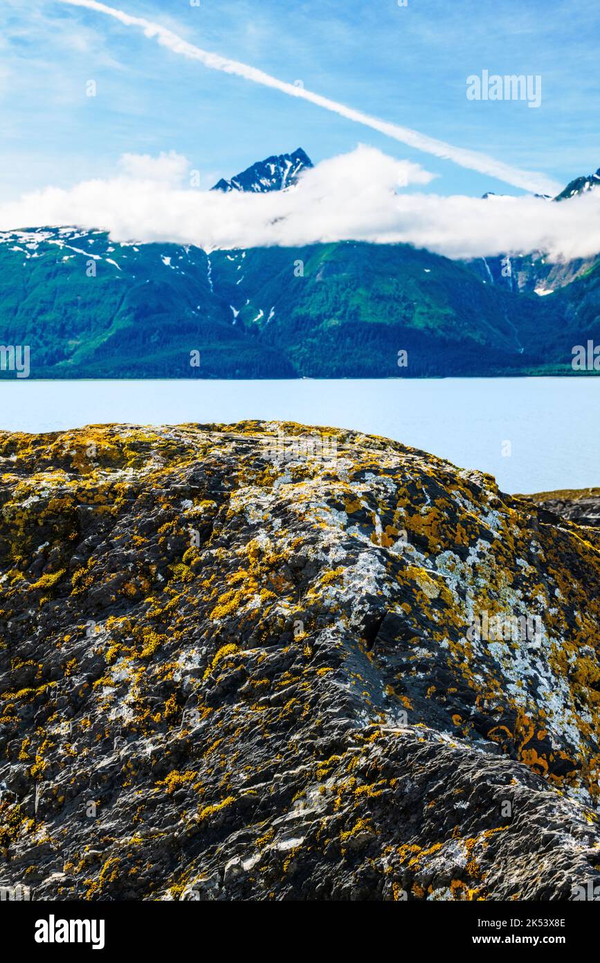 View of Chilkat Inlet & Glacier Bay National Park & Preserve from Moose ...