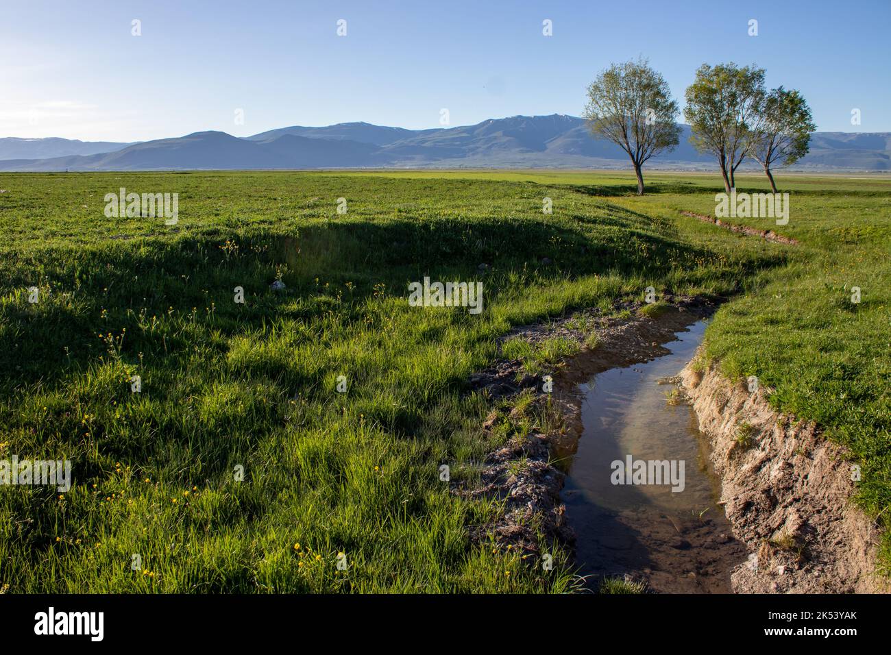 The channel through which the rain water flows. Spring has come, plain ...