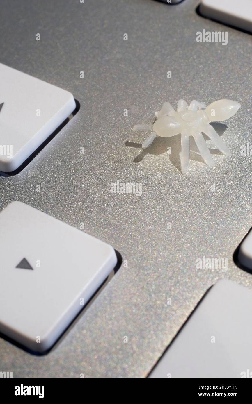 Translucent computer bug on keyboard Stock Photo - Alamy Translucent computer bug on keyboard Stock Photo - Alamy