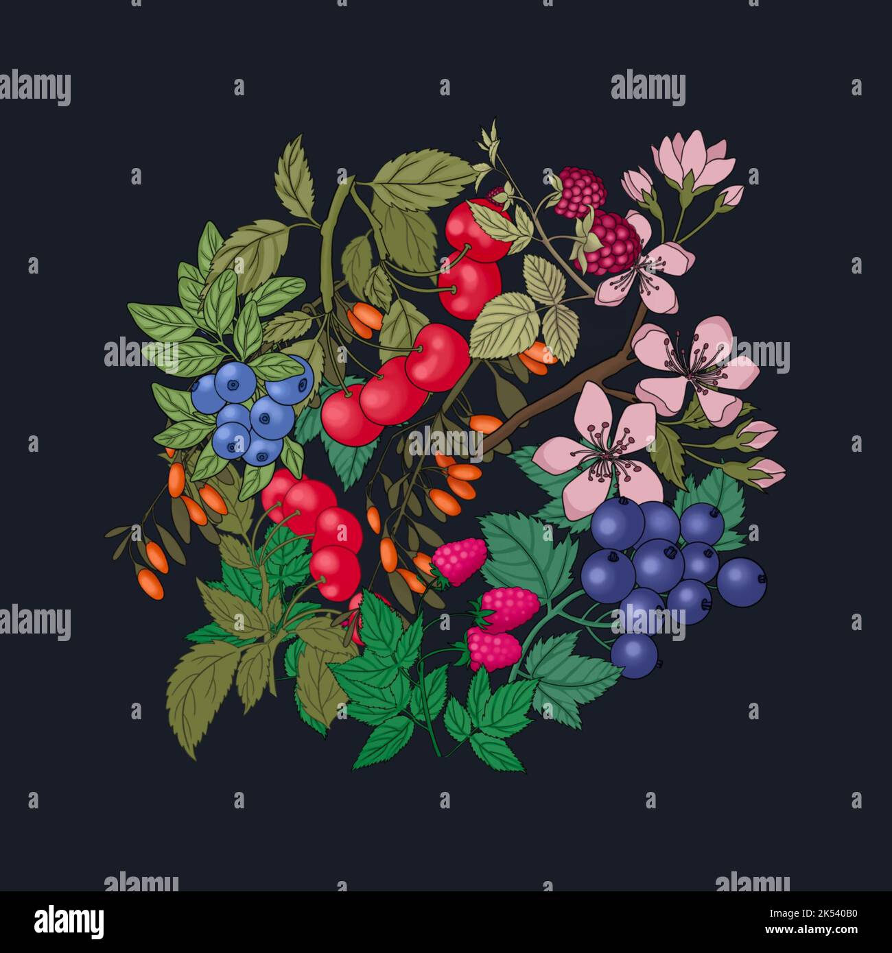Vintage botanical illustration. Set of watercolor hand drawn berries ...