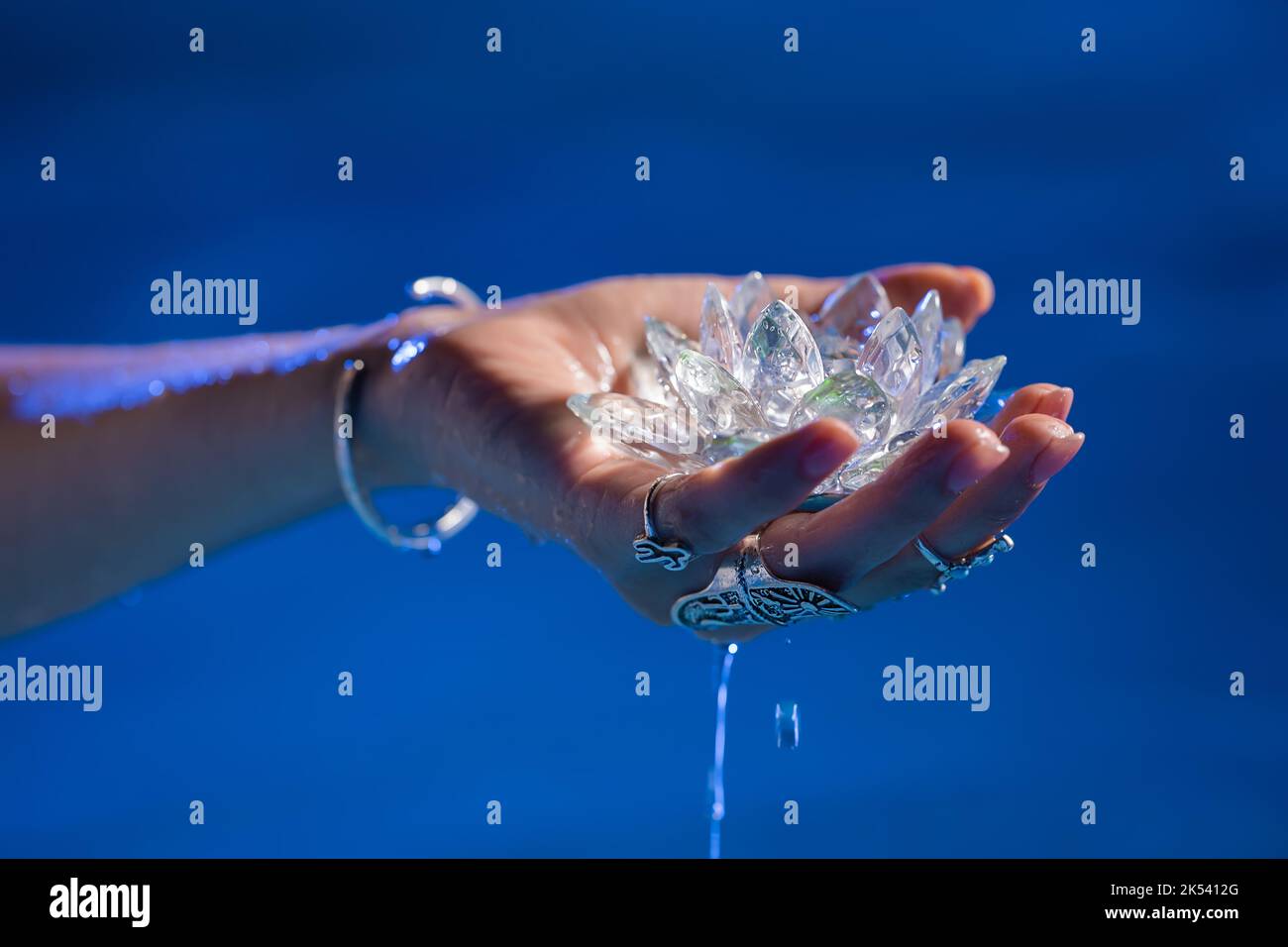 Woman holding fragile lotus flower. Clean water drops are dripping from ...