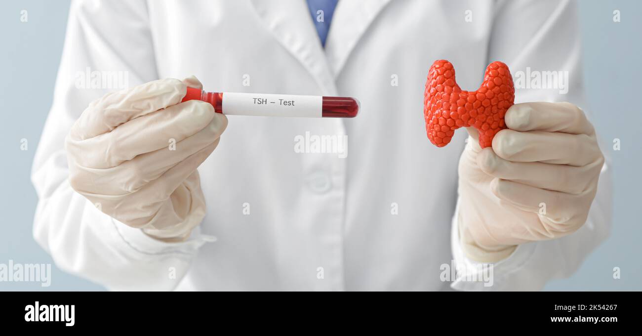 Endocrinologist with model of thyroid gland and blood sample in test ...