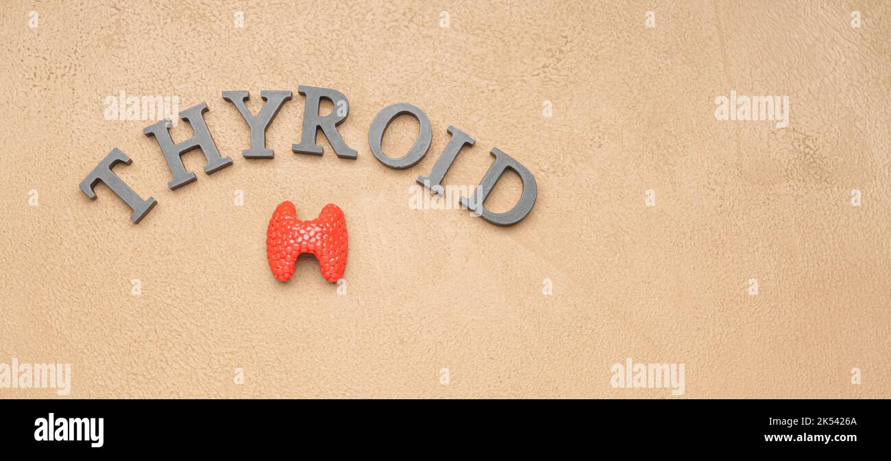 Word THYROID with model of organ on color background Stock Photo - Alamy