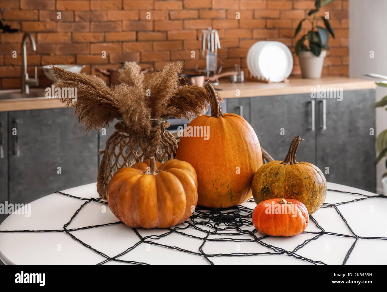 Halloween pumpkins and vase with pampas grass on dining table in ...