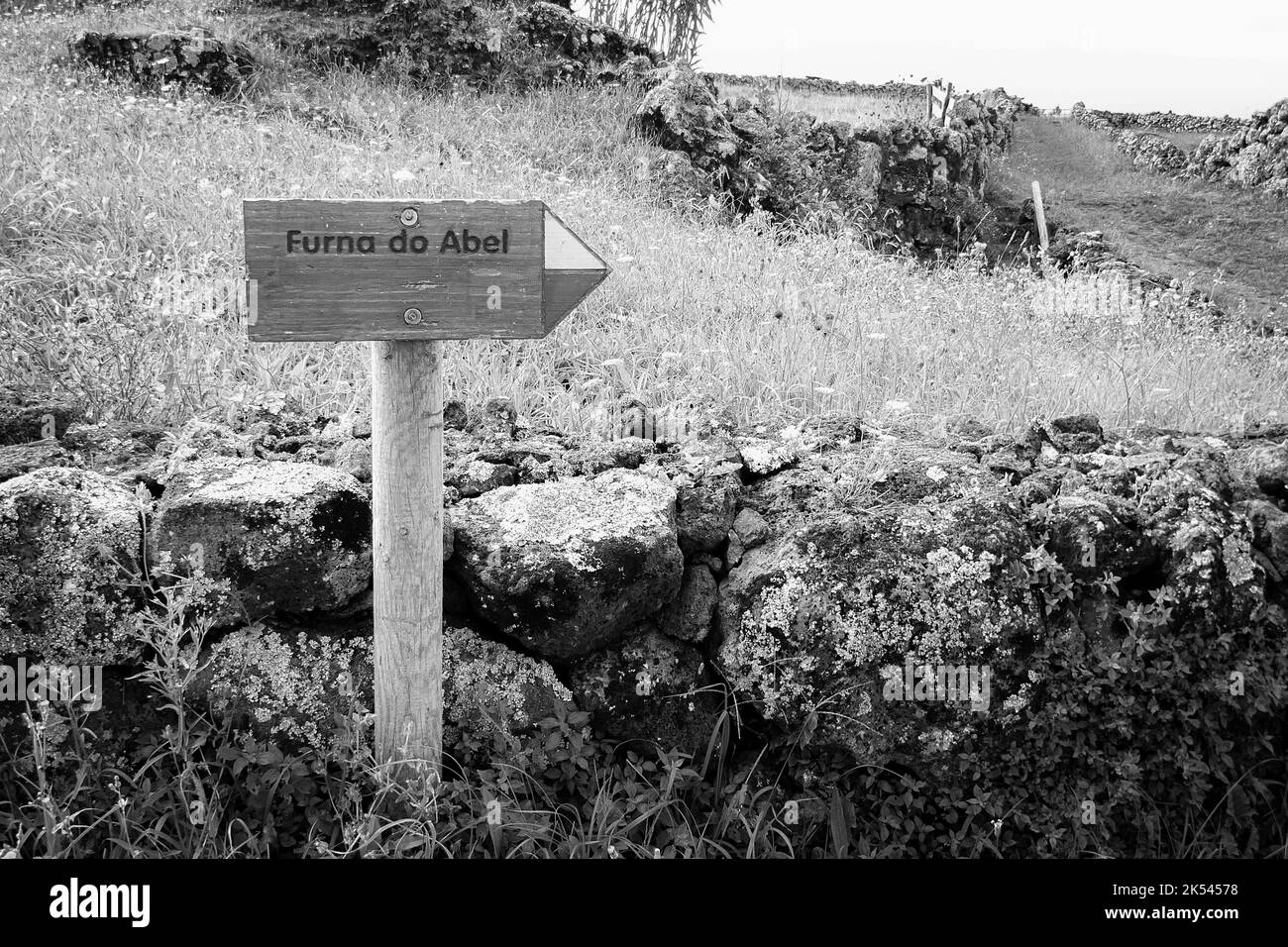 Green european union Black and White Stock Photos & Images - Alamy