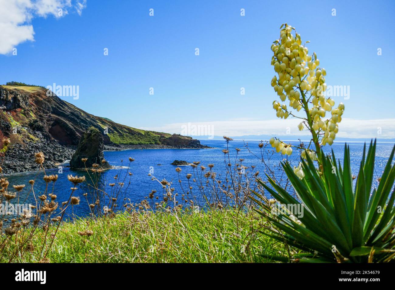 Countryside and ocean hi-res stock photography and images - Alamy