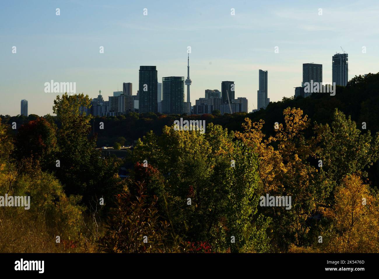 The Toronto skyline is photographed behind a canopy of trees on ...