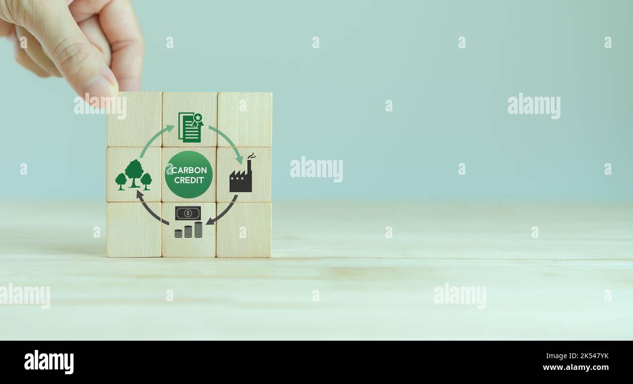 Carbon credit cycle. Tradable certificate to drive industry and company ...