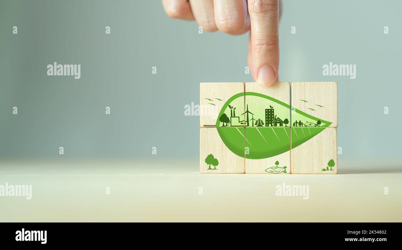 Zero emisson, ecological and net zero concept. Eco friendly symbols ...