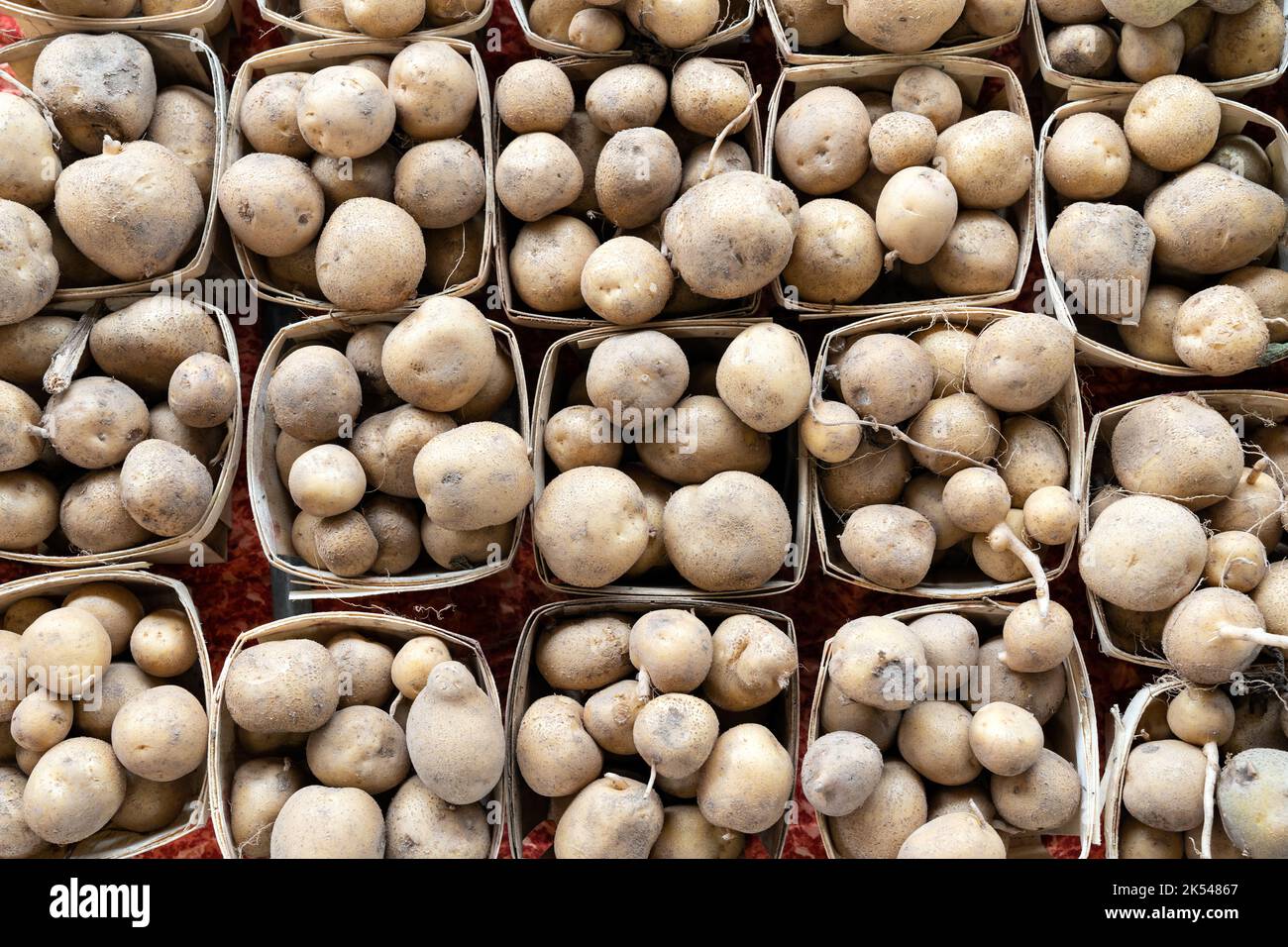 Farmer supermarket hi-res stock photography and images - Alamy
