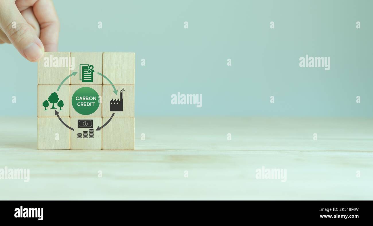 Carbon credit cycle. Tradable certificate to drive industry and company ...