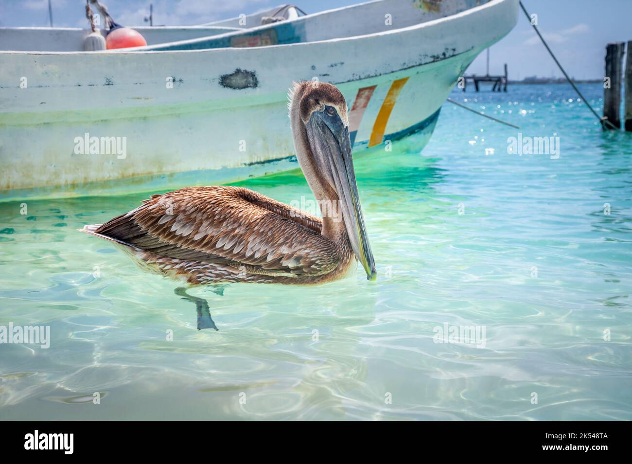 Cancun idyllic caribbean beach with boat and pelican, Riviera Maya ...