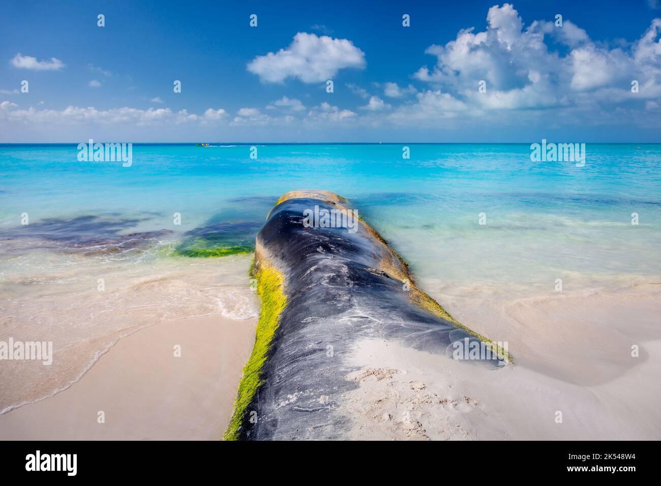 Cancun idyllic caribbean beach at sunset, Riviera Maya, Mexico Stock ...