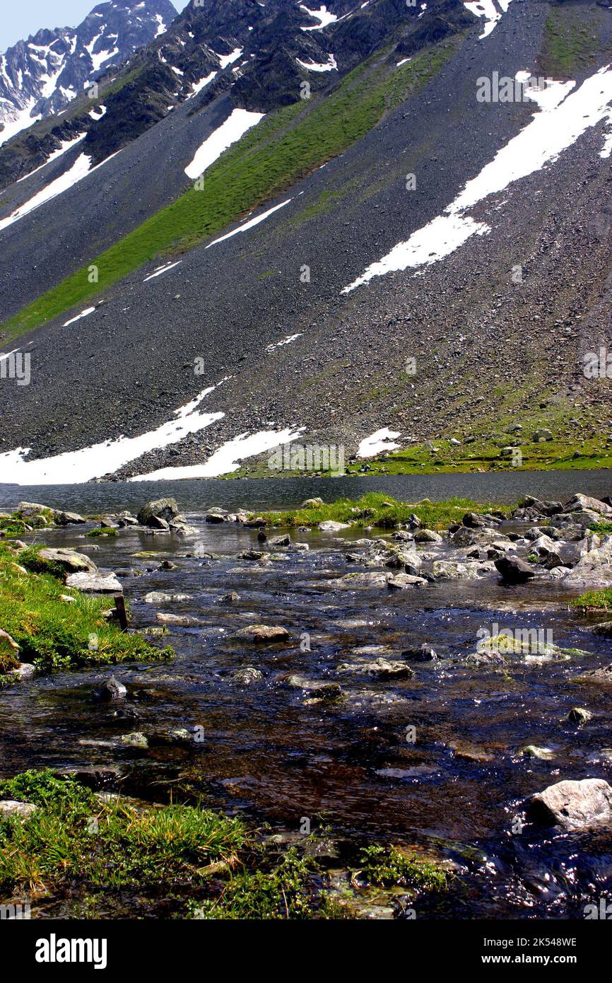 Alpine water stream, Switzerland Stock Photo - Alamy