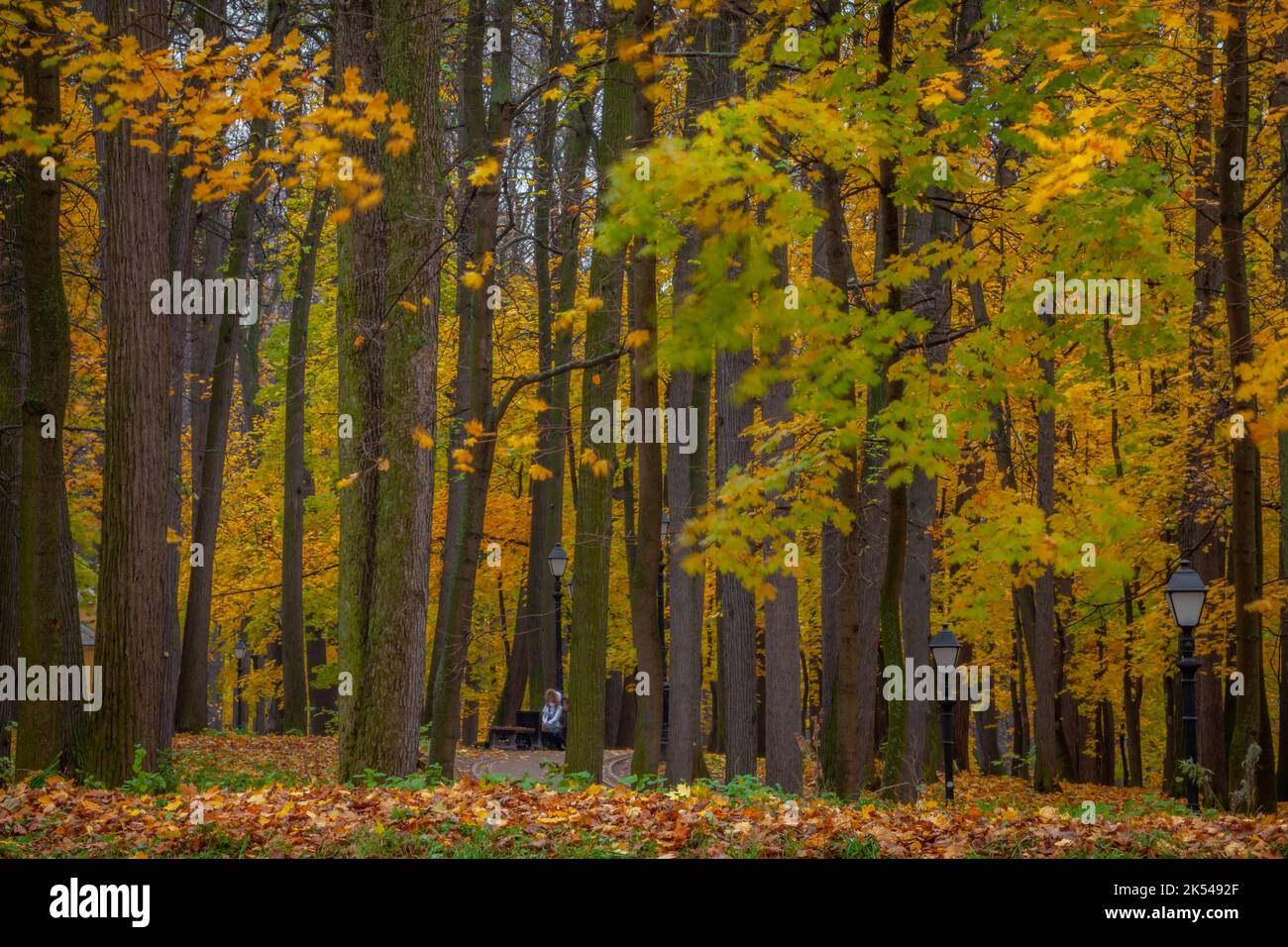 Autumn landscape, October park view with path under colorful deciduous ...