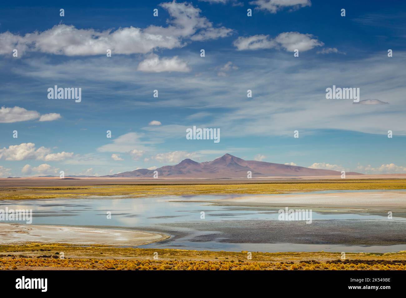 Salar de Atacama volcanic landscape and salt lake in Atacama Desert ...