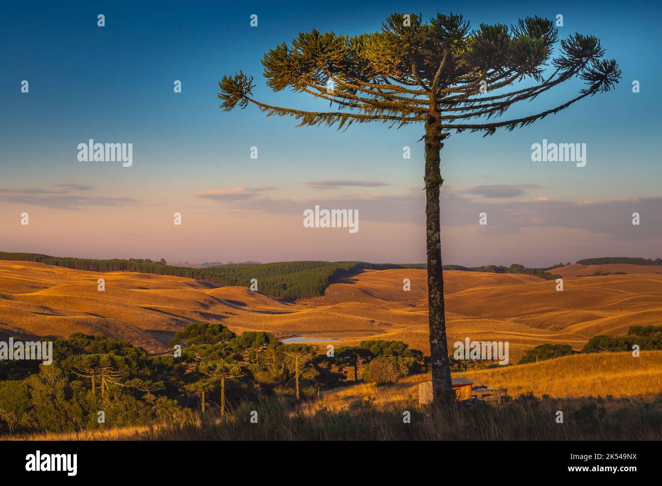 Agricultural landscape no one has nature hi-res stock photography and ...