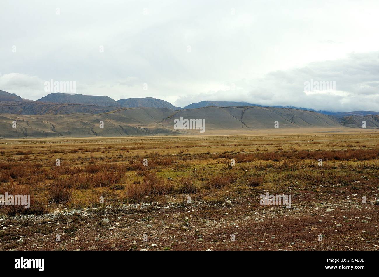 Desert dried steppe with sparse bushes at the foot of a mountain range under thunderclouds ...