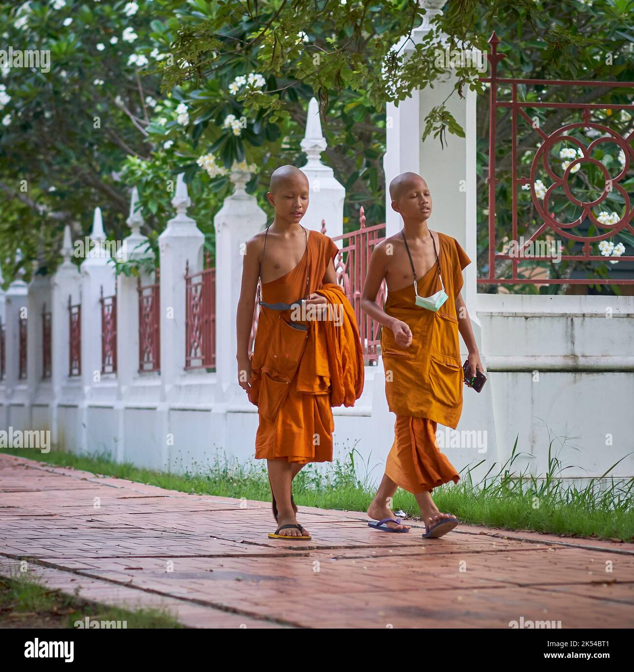 Novice monks walking hi-res stock photography and images - Alamy