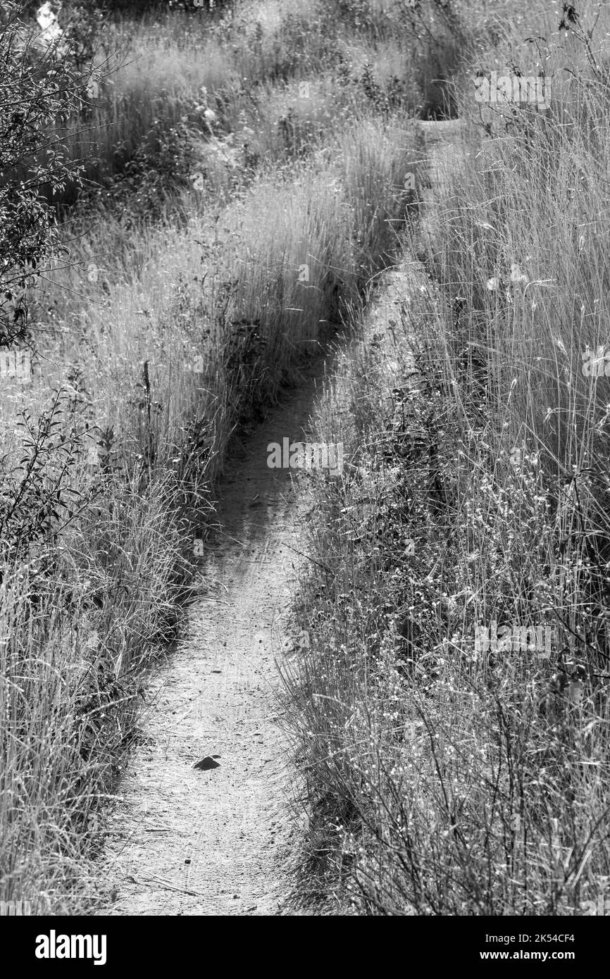 Path through grass hi-res stock photography and images - Alamy