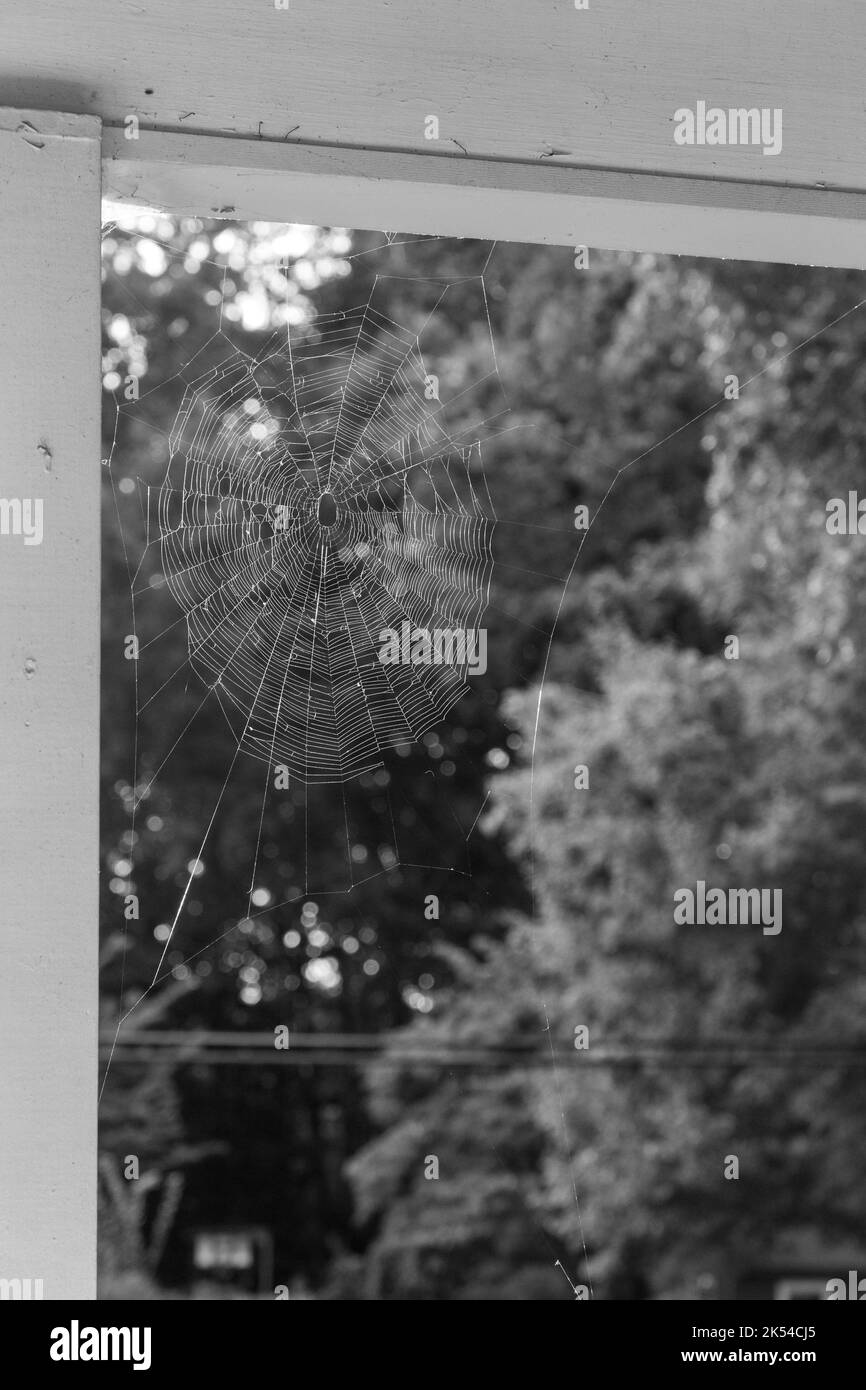 Large orb Black and White Stock Photos & Images - Alamy