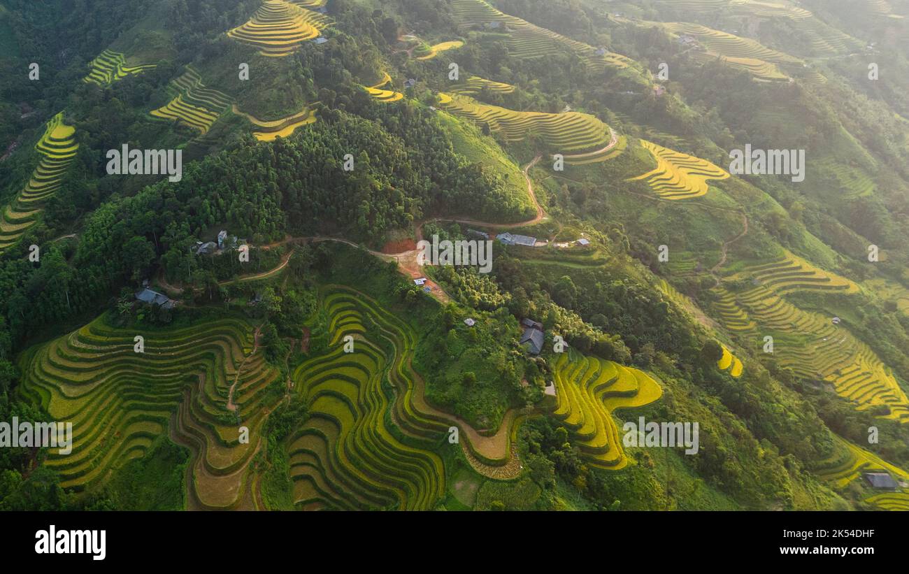 The majestic terraced fields in Ha Giang province, Vietnam. Rice fields ...