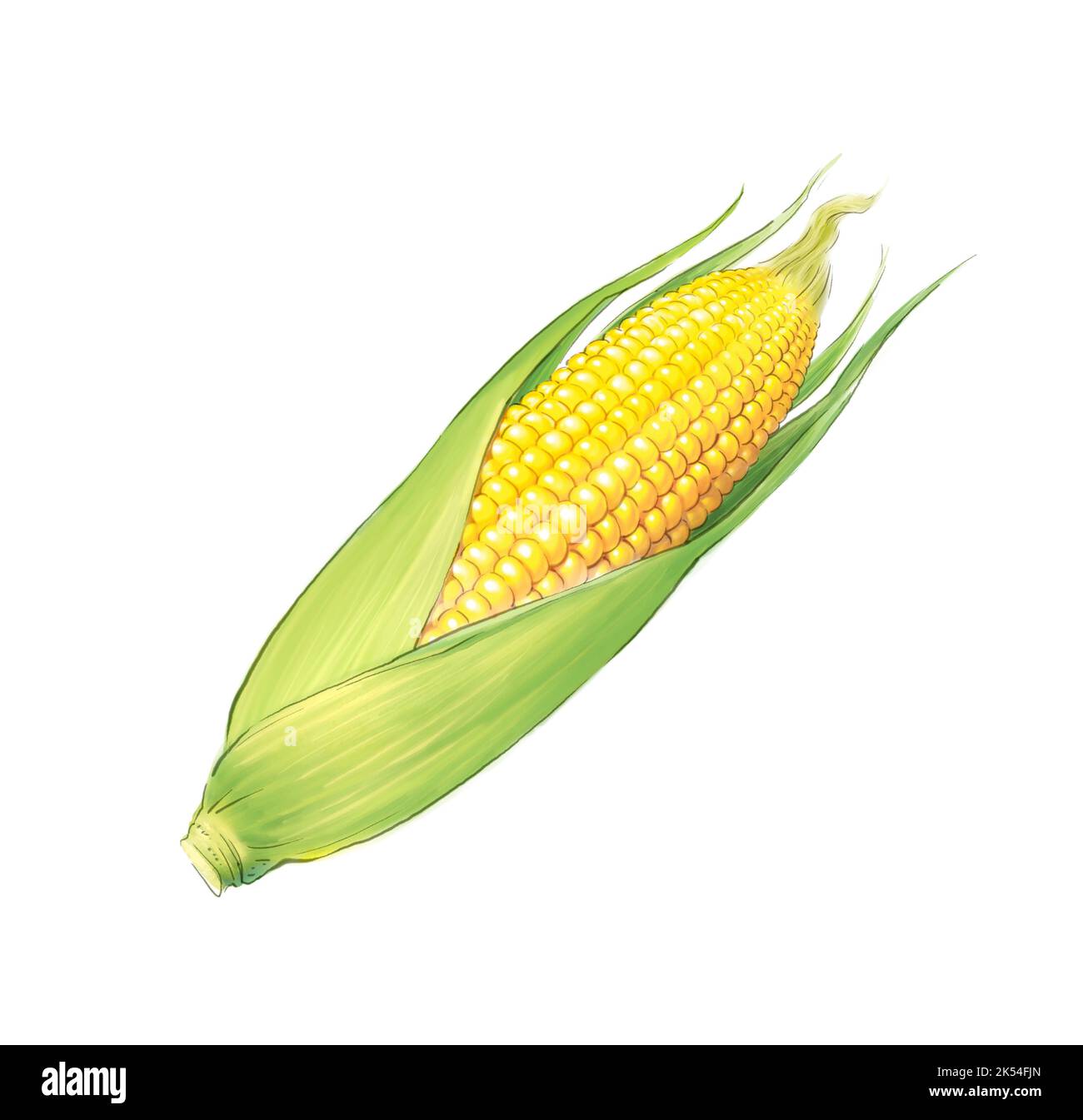 Maize 3d Cut Out Stock Images & Pictures - Alamy