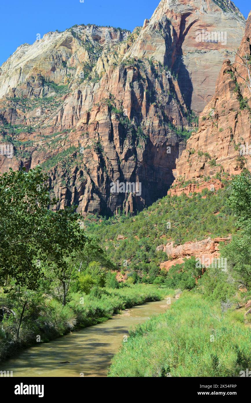 Zion National Park located in the state of Utah, United States Stock ...