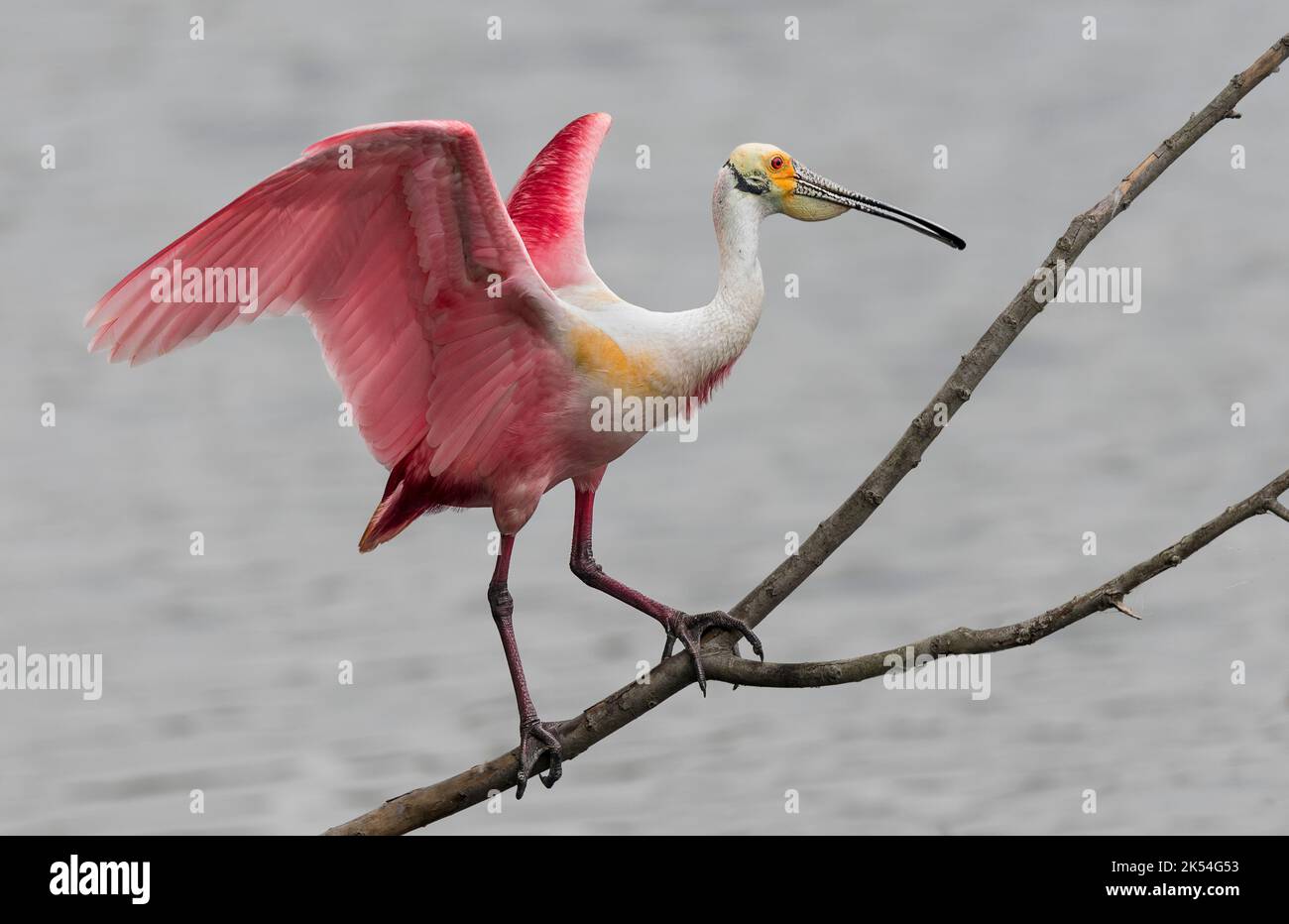 Presentation of visual rhythm campus hi-res stock photography and ...