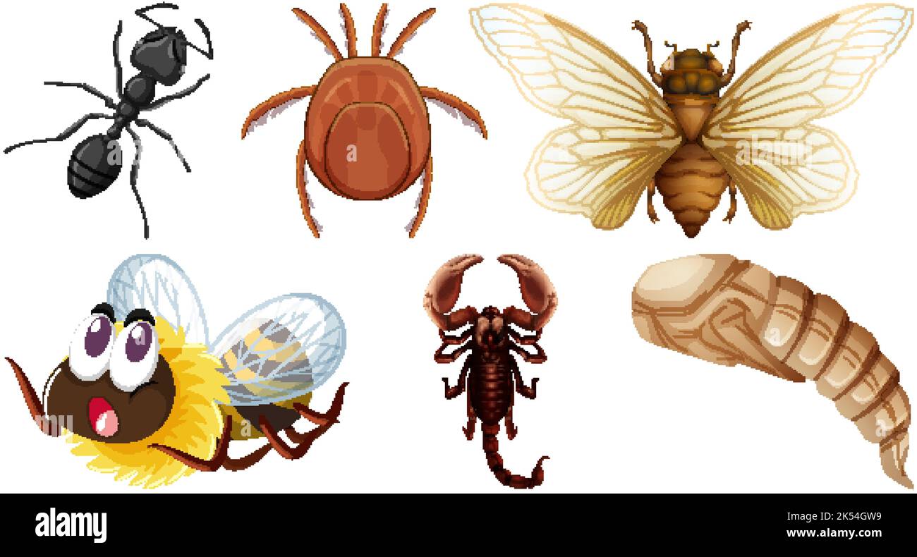 Set of different kinds of insects illustration Stock Vector Image & Art ...