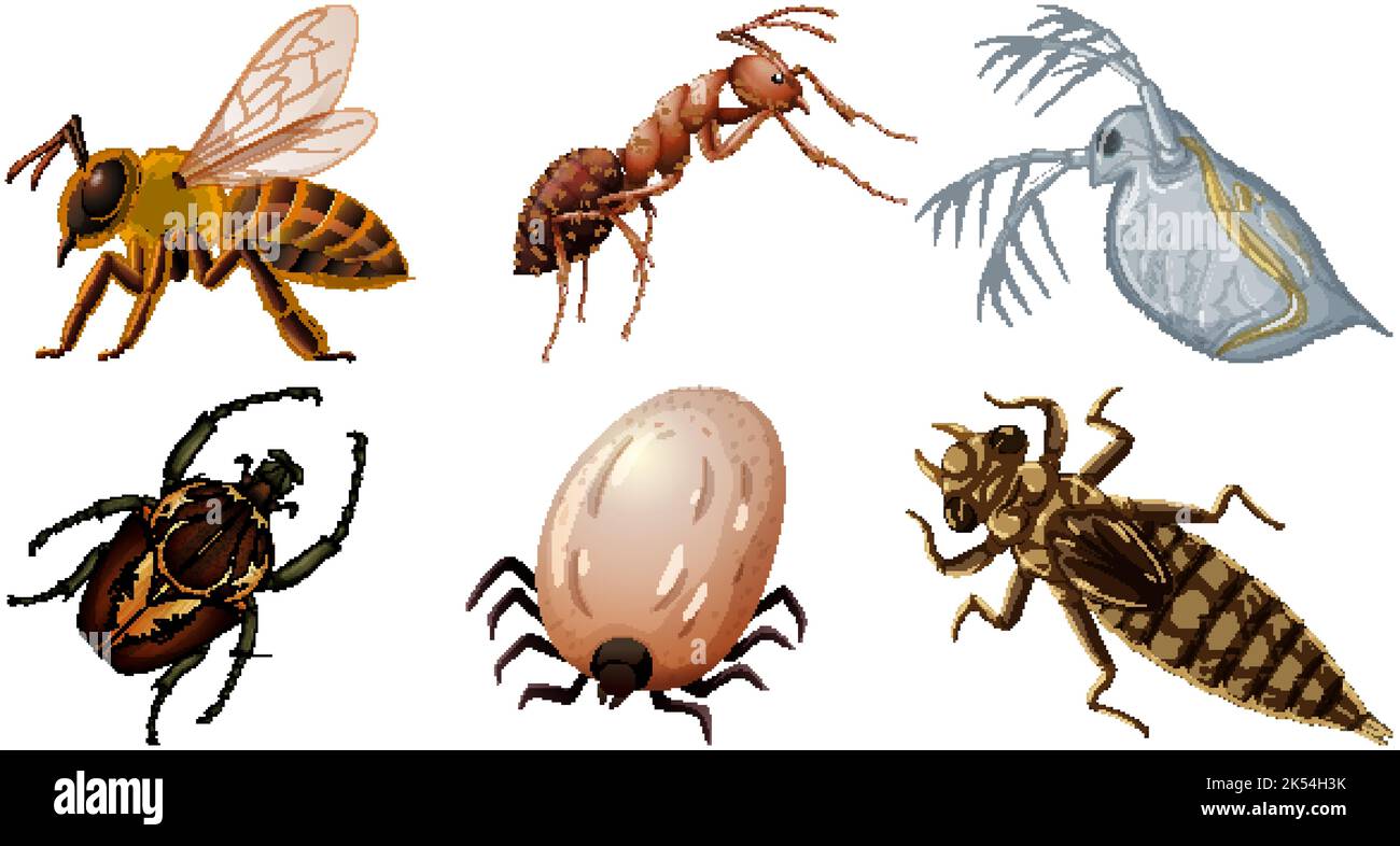 Set of different kinds of insects illustration Stock Vector Image & Art ...