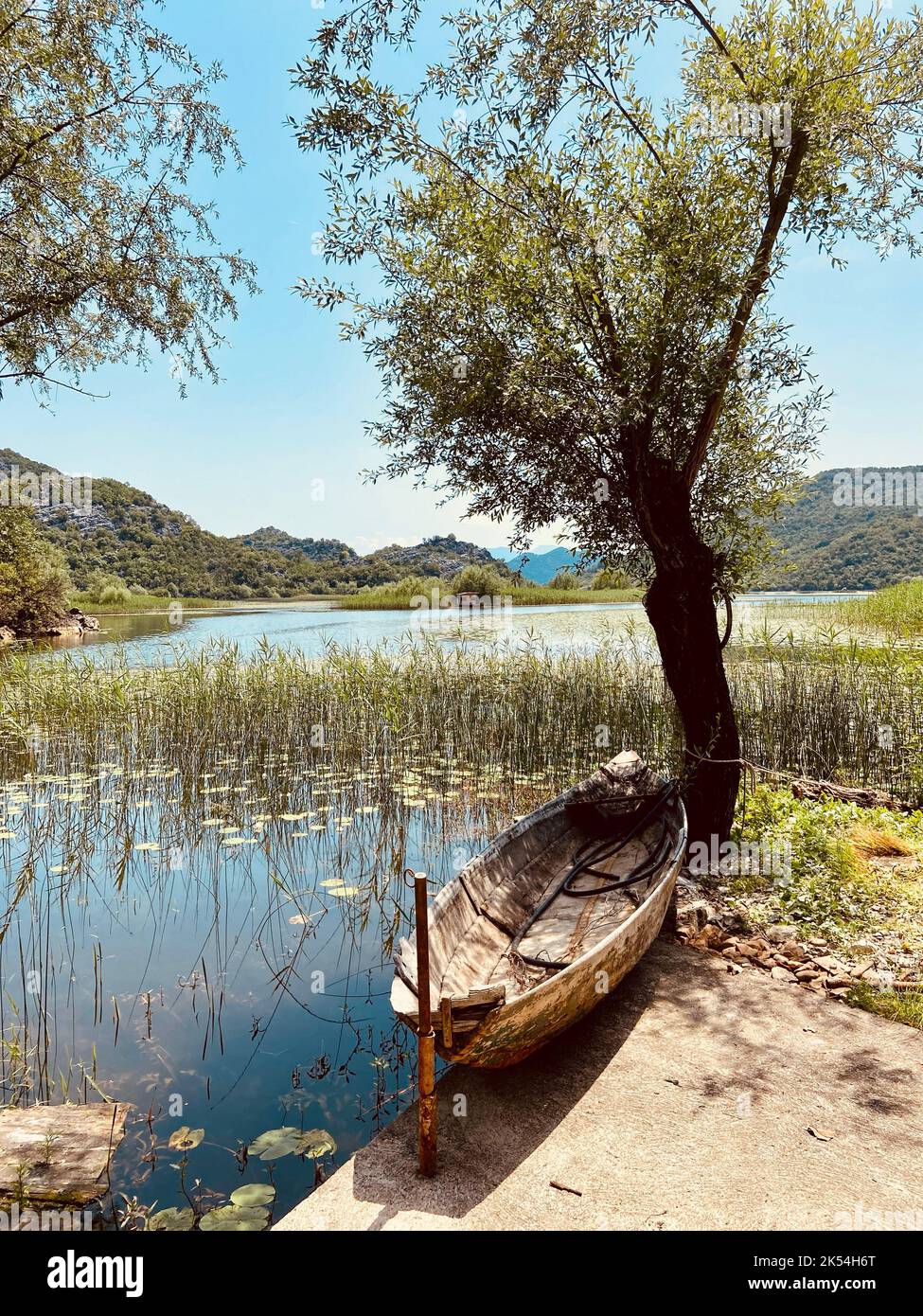 An old vallam by the river with dense vegetation on a sunny day ...
