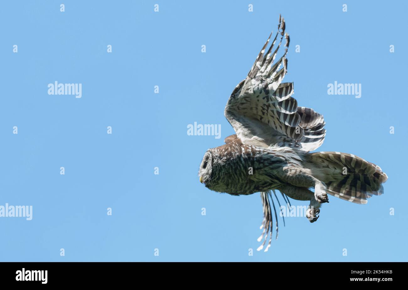 Marvel photography hi-res stock photography and images - Alamy