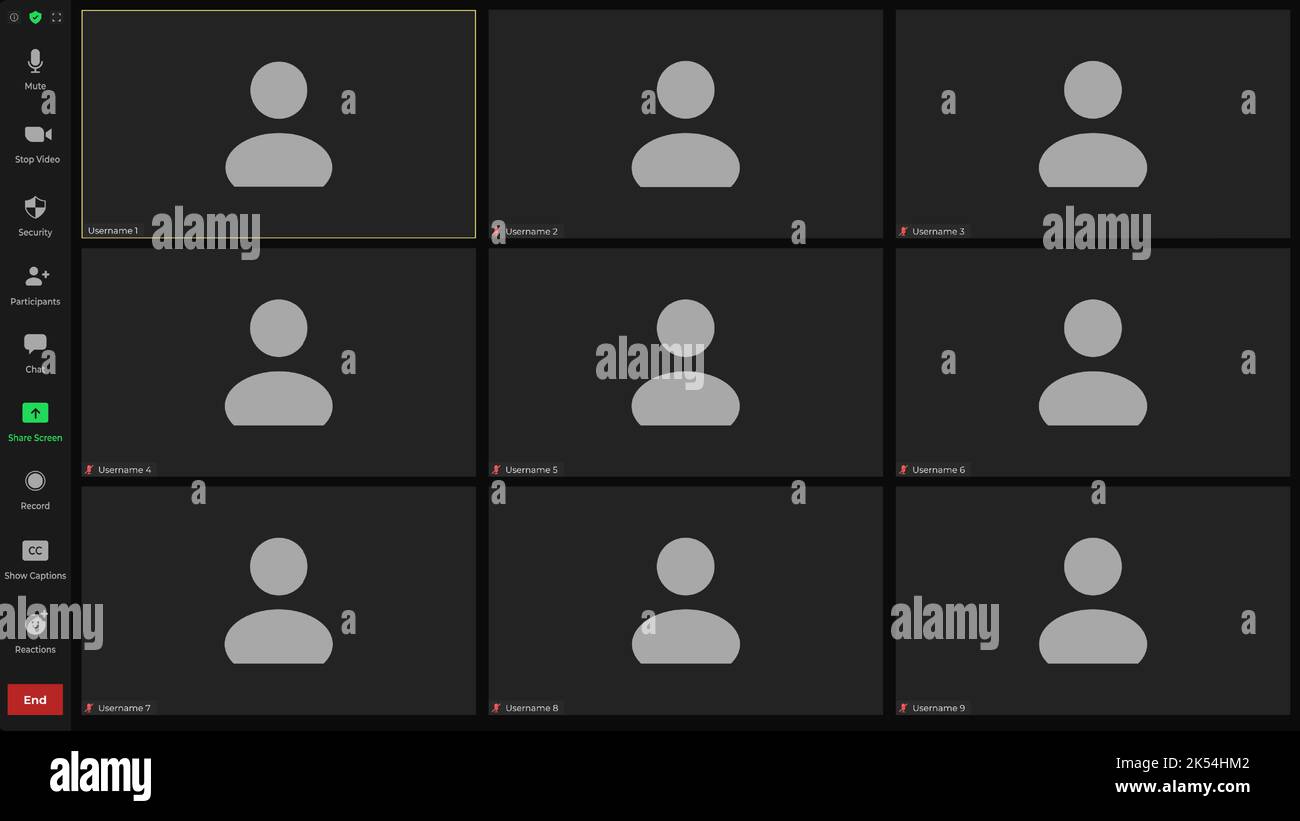 Online video call interface template with user icon. User web video call window. Video ...
